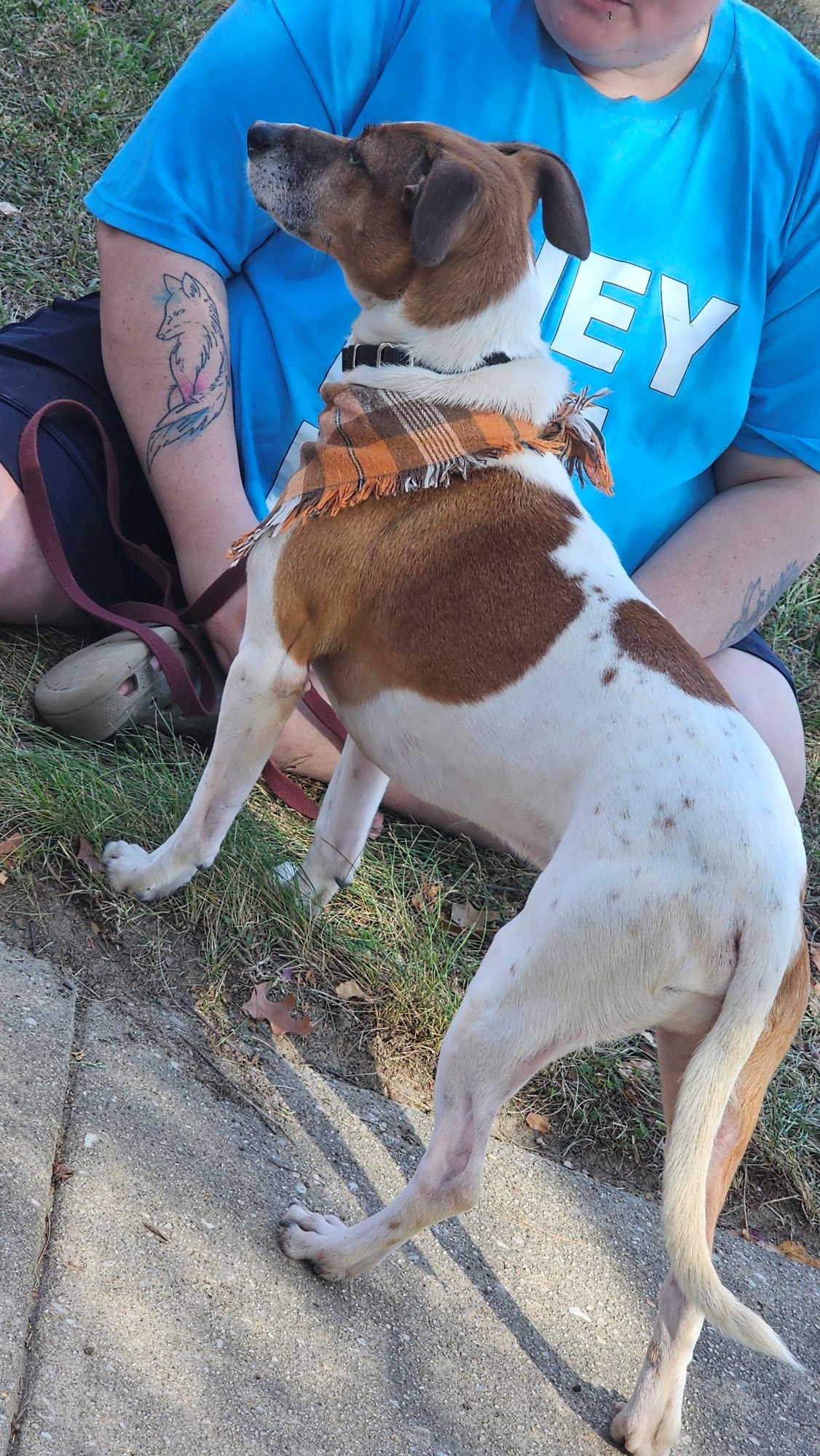 Snacks for Snuggles - SECC