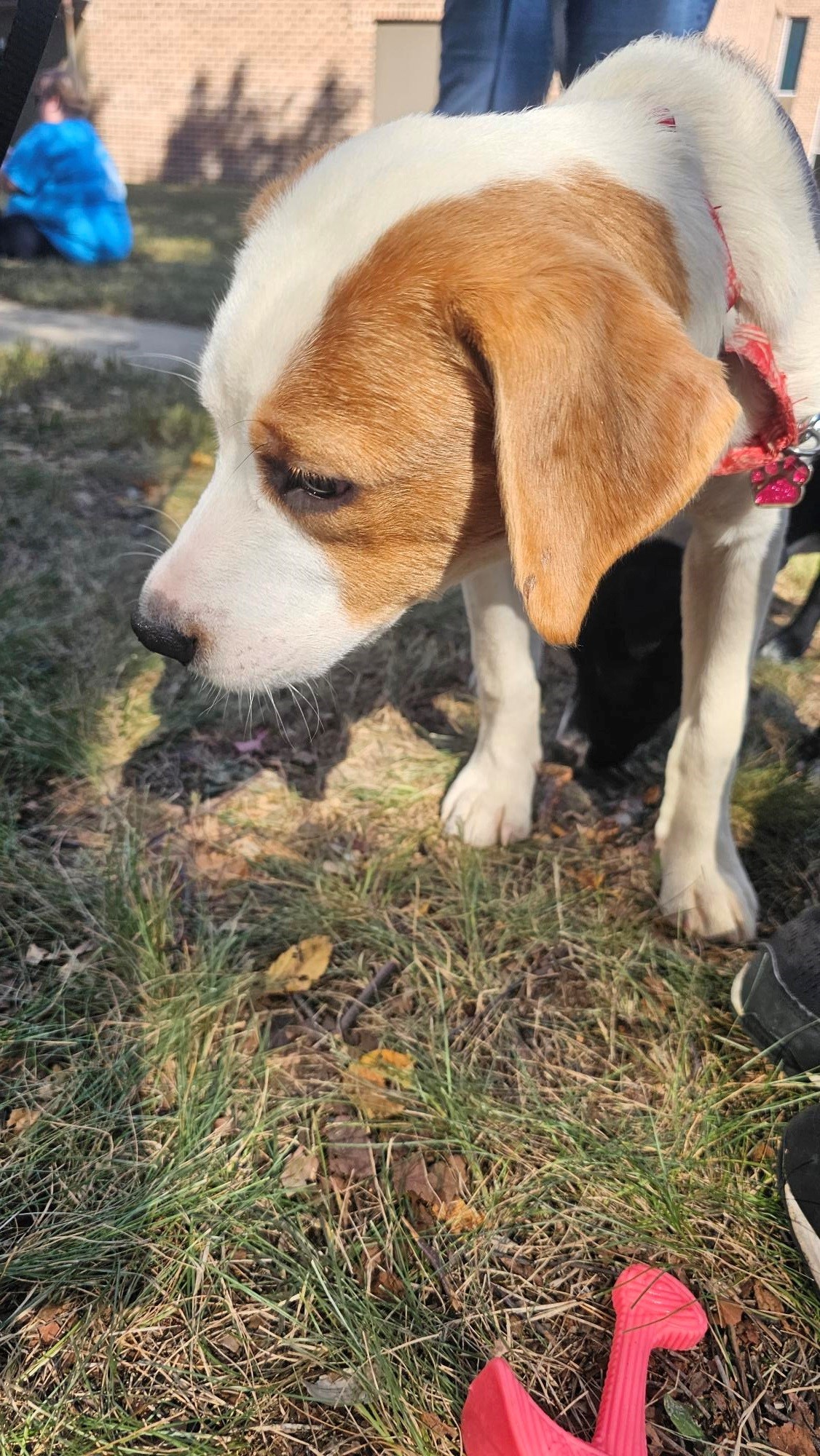 Snacks for Snuggles - SECC